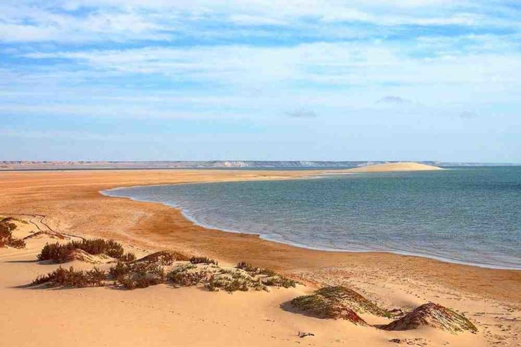 Pourquoi visiter Dakhla